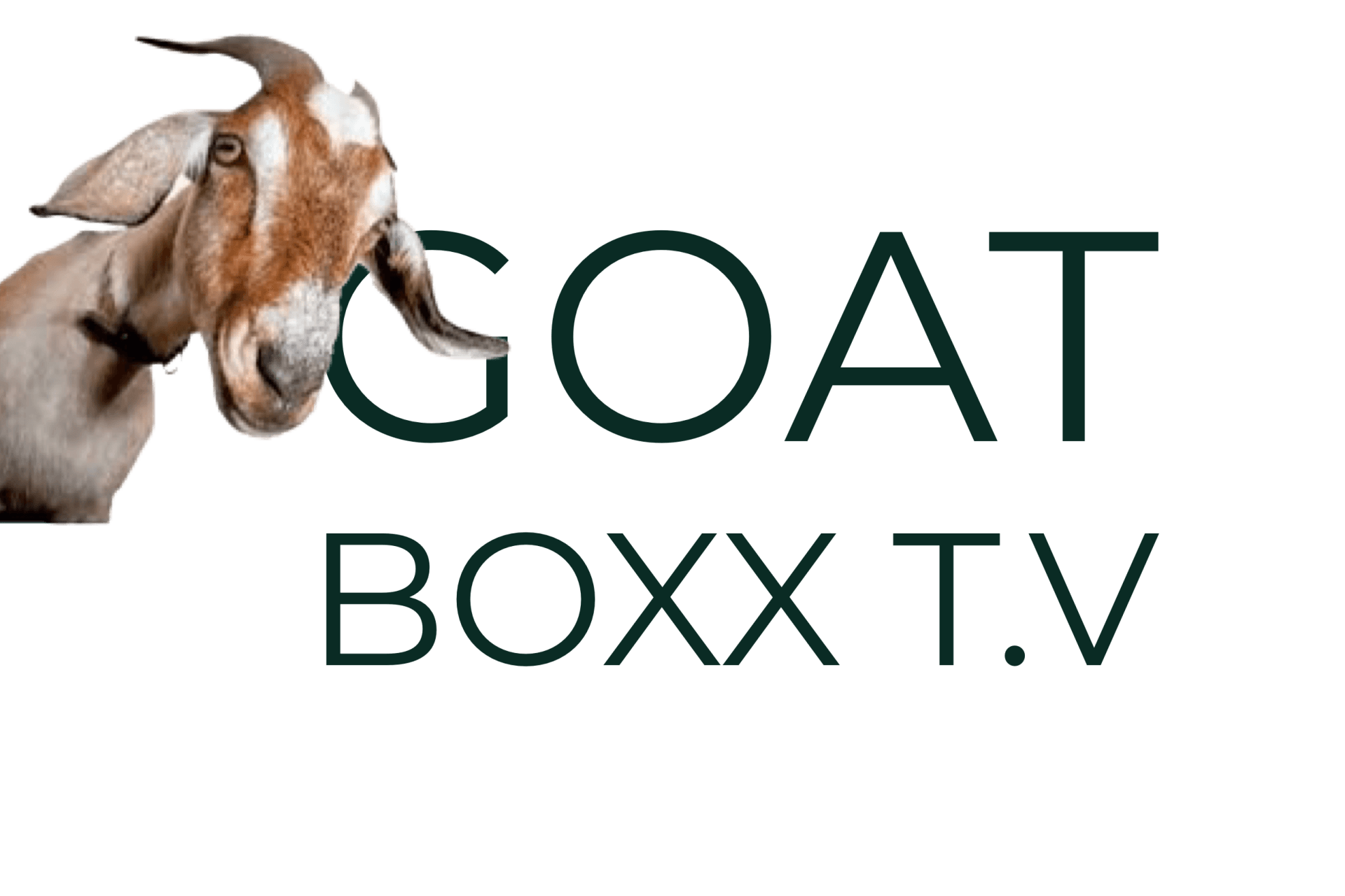 Unleash Premium Streaming with Goat TV Firestick | Easy Installation ...