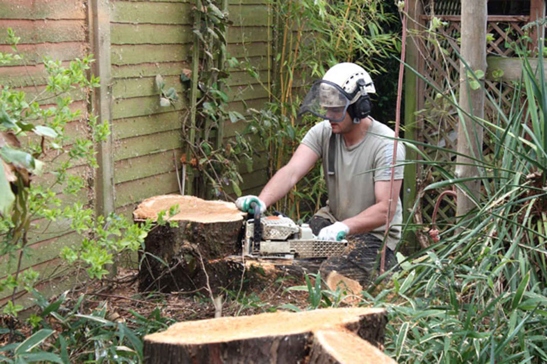 Stump removal | South West Tree Care