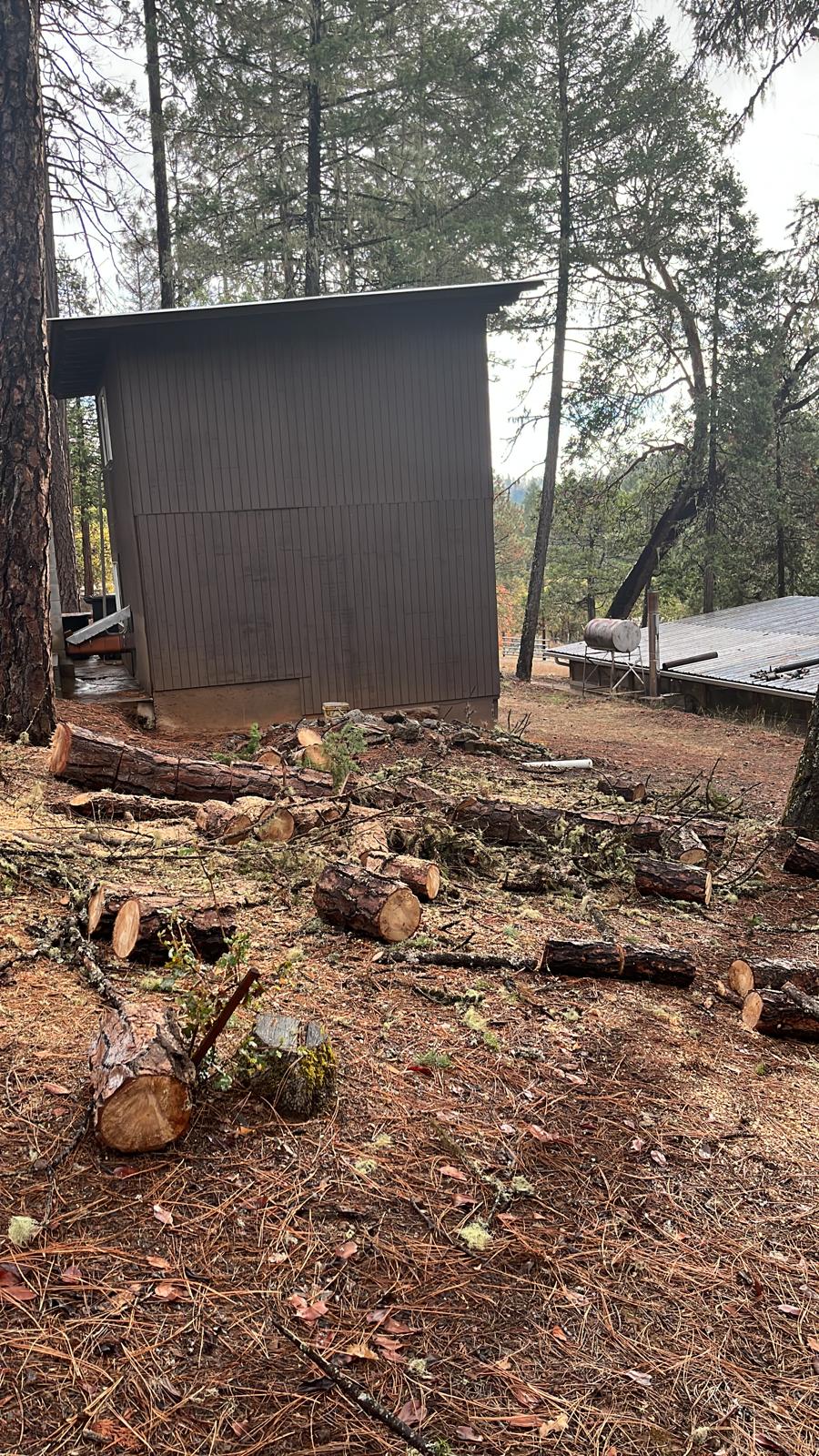 Top Rated Tree Removal Service in Grants Pass, Oregon