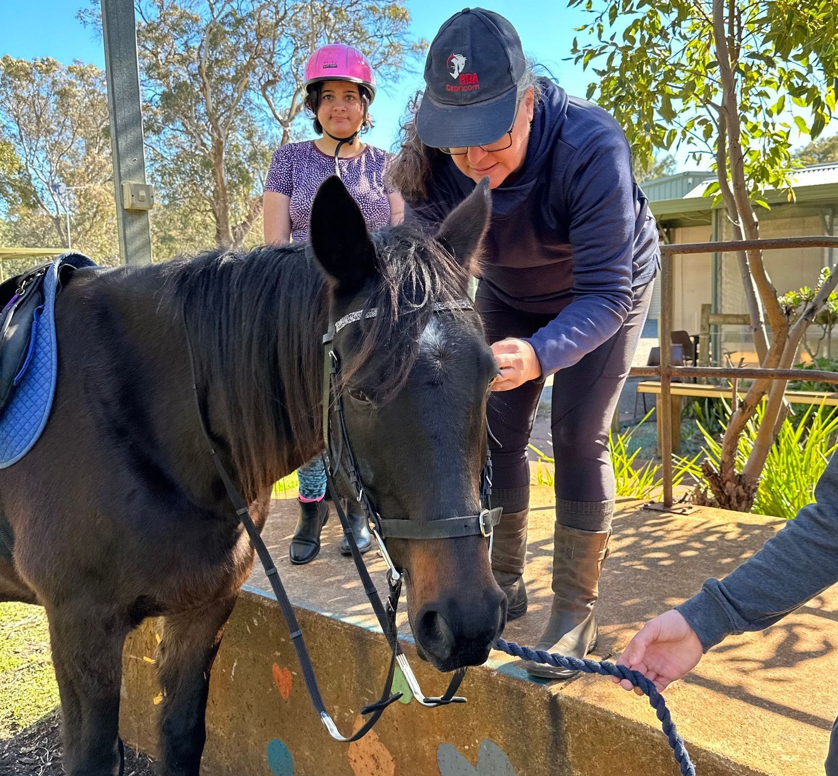 The Horses of RDA Capricorn