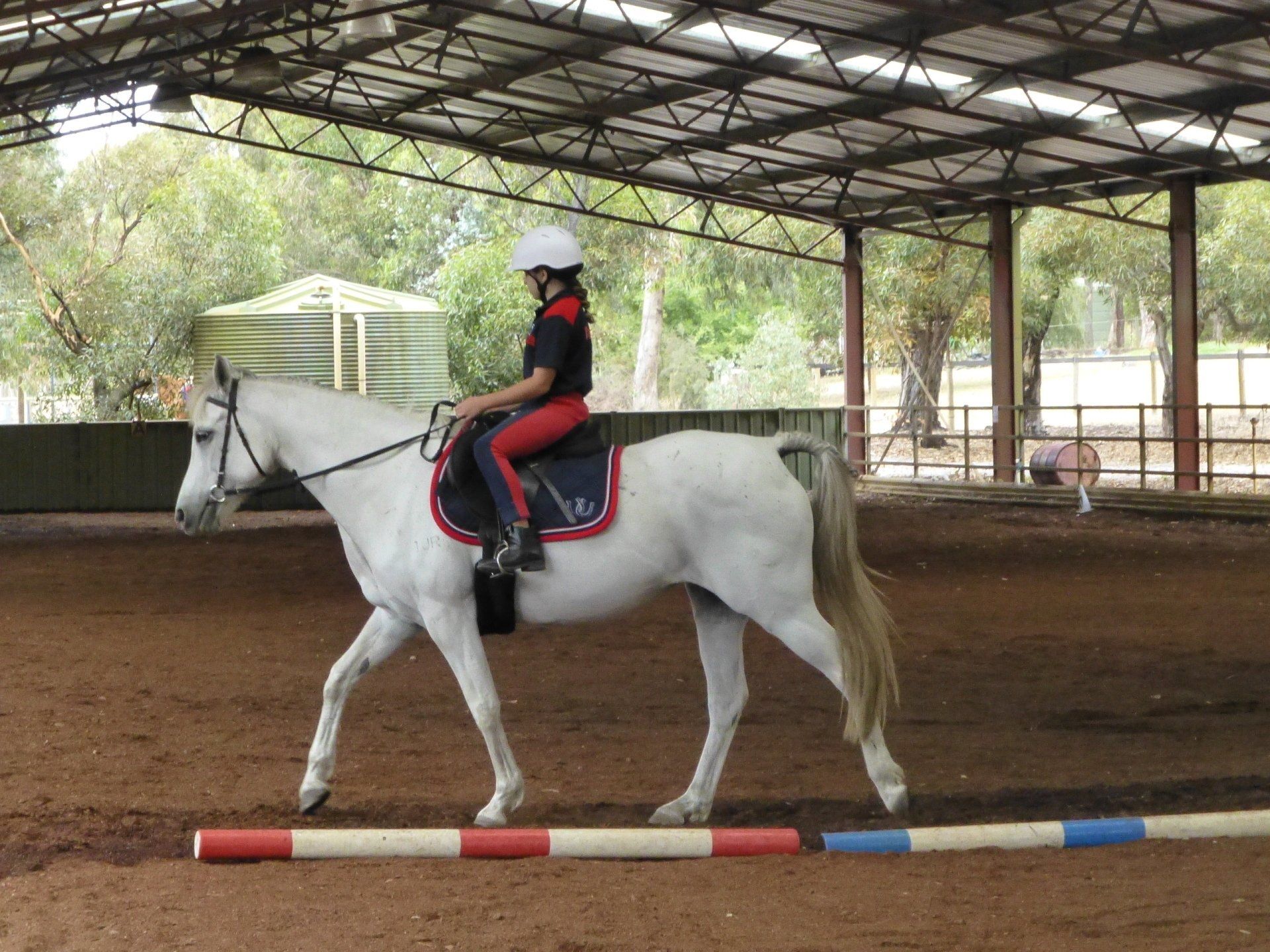 Riding for Disabled Capricorn