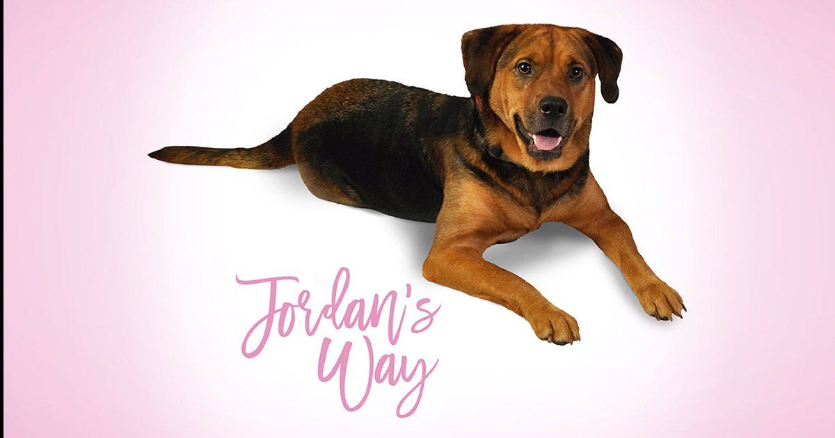 Sponsor | Jordan's Way Tour