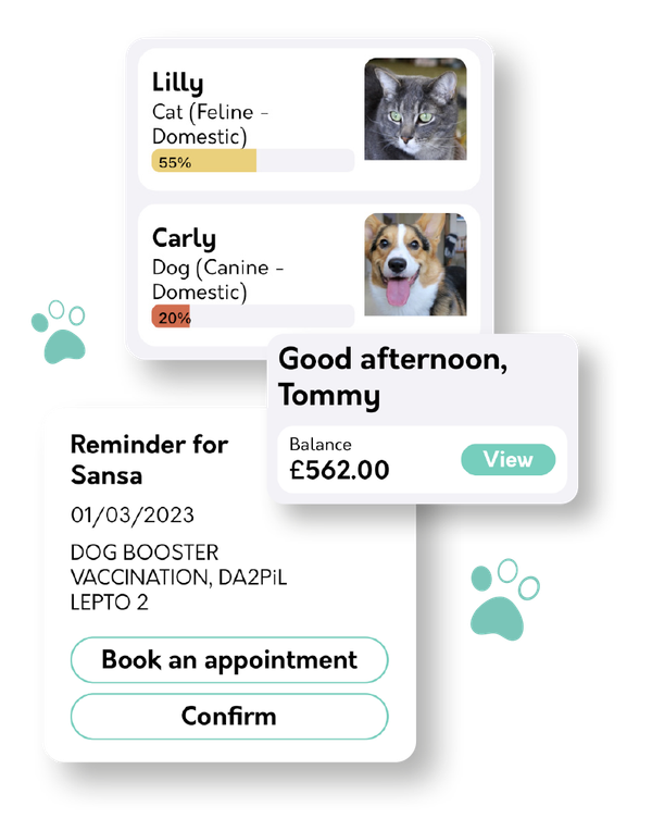 MyPetHealth app – the affordable app for veterinary practices