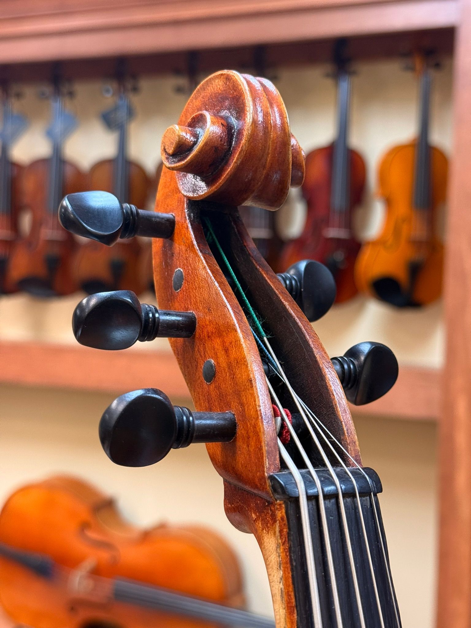 Violoncello da Spalla | Tom’s Violins | Springfield, Mo.