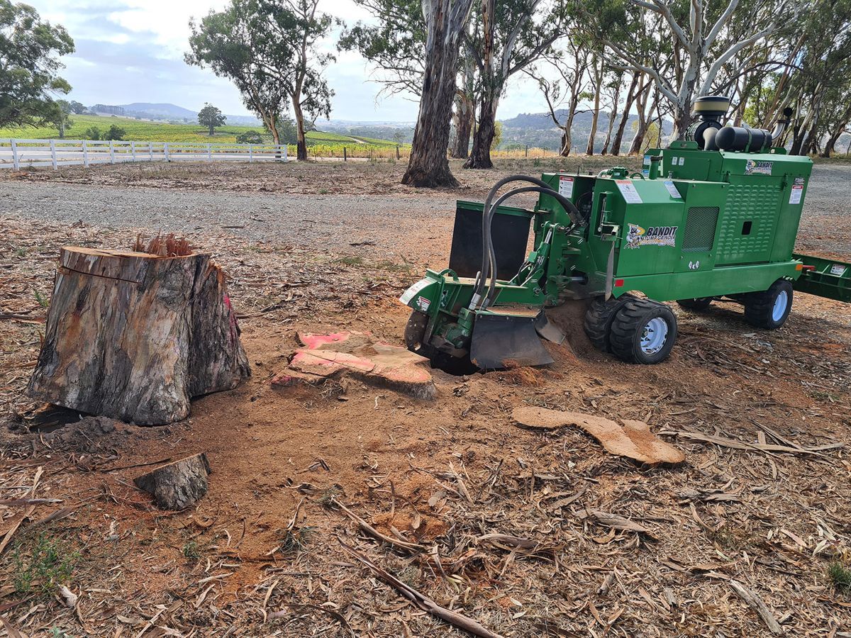 Stump grinding services | Adelaide Hills