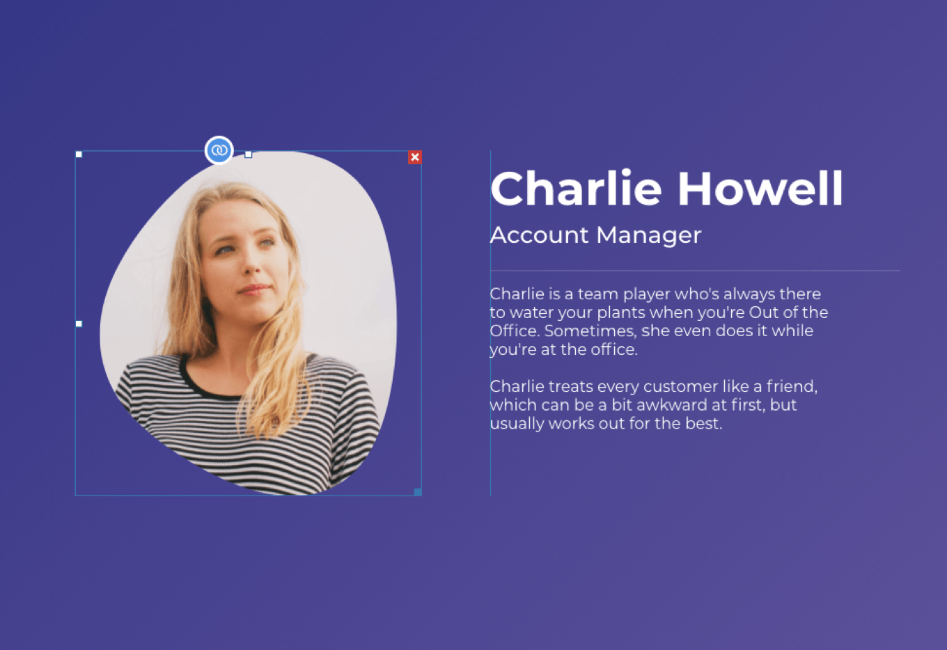 Shape Widget - Now Connected