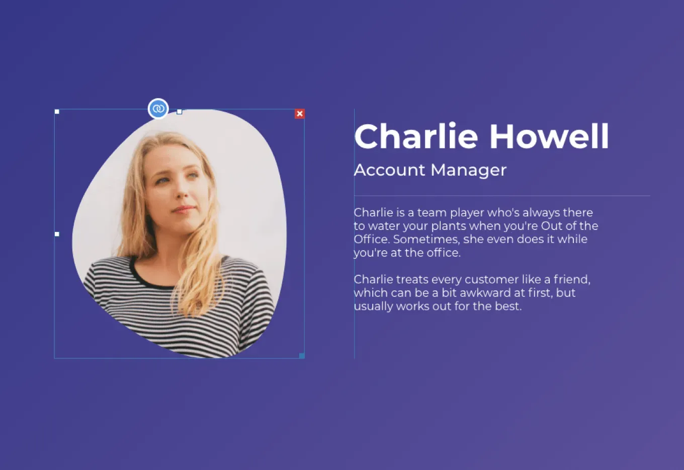 Shape Widget - Now Connected