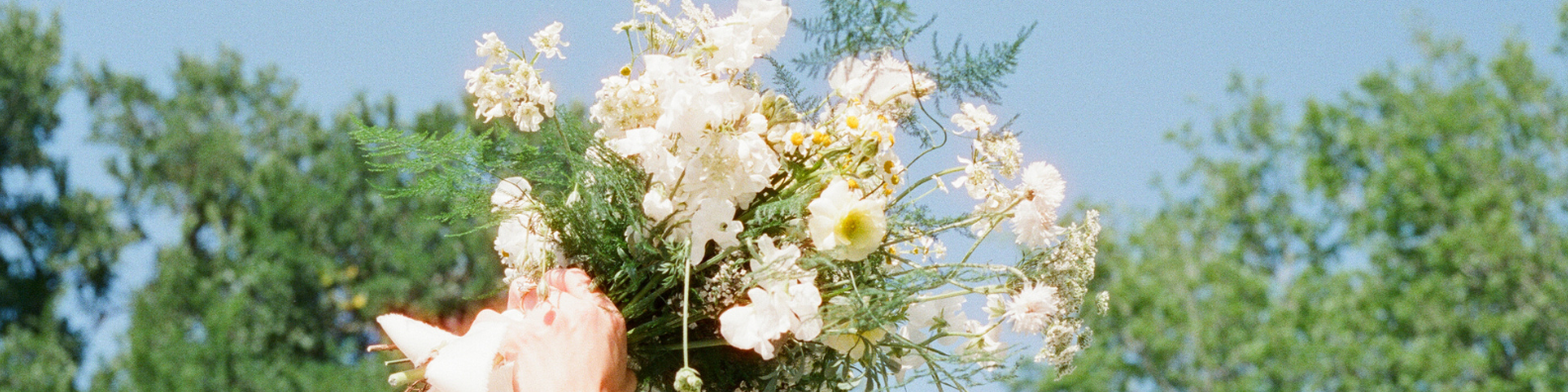 What to Expect at Addison Grove's Winter Showcase