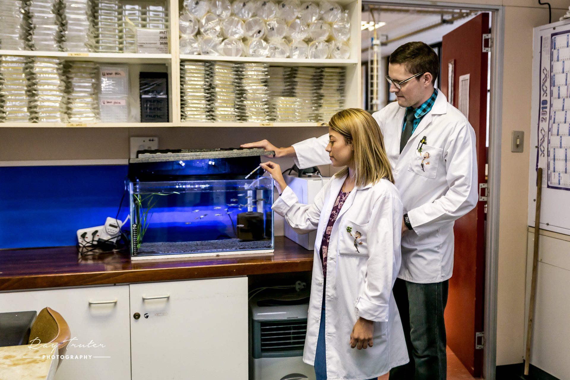 Zebrafish Breeding Facility