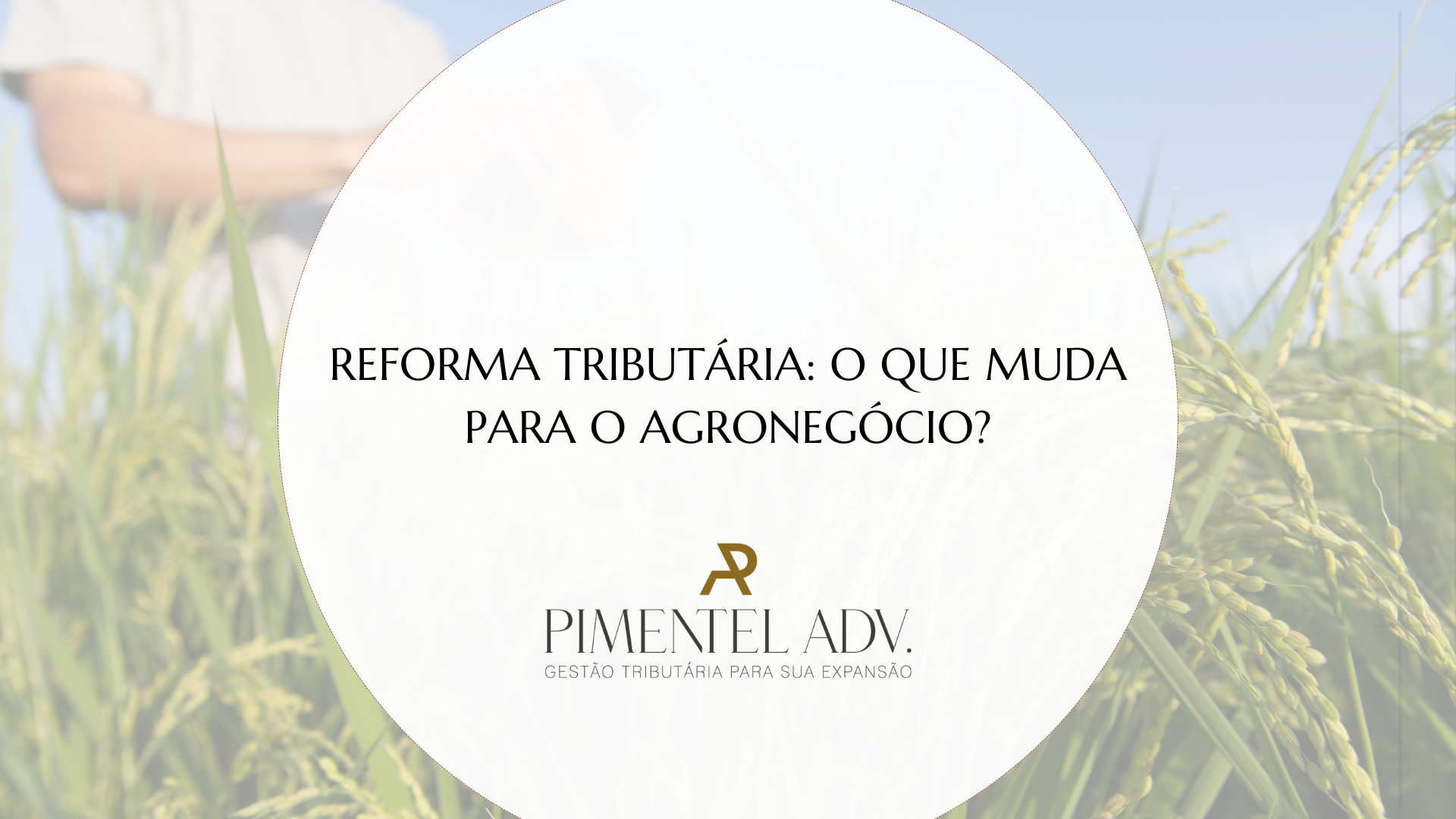 Reforma tributária: o que muda para o agronegócio?
