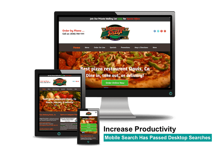 Responsive Web Design Los Angeles | Kansas City | Limo Service Websites