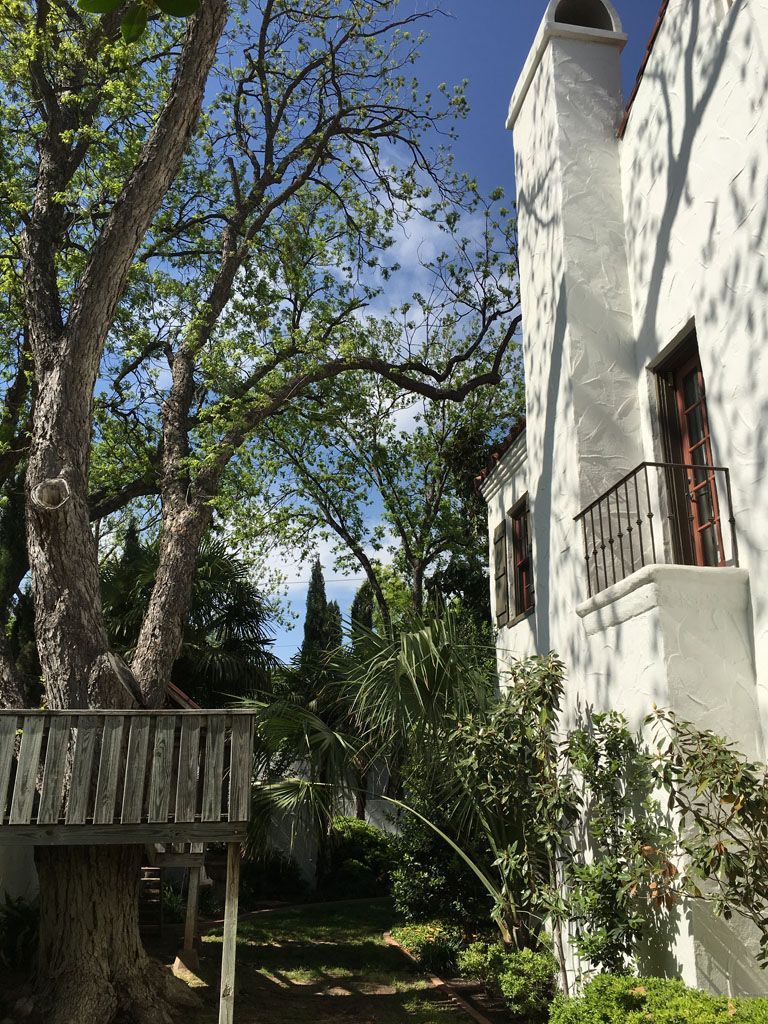 Tree Care Company | Flynn Tree | San Angelo, TX