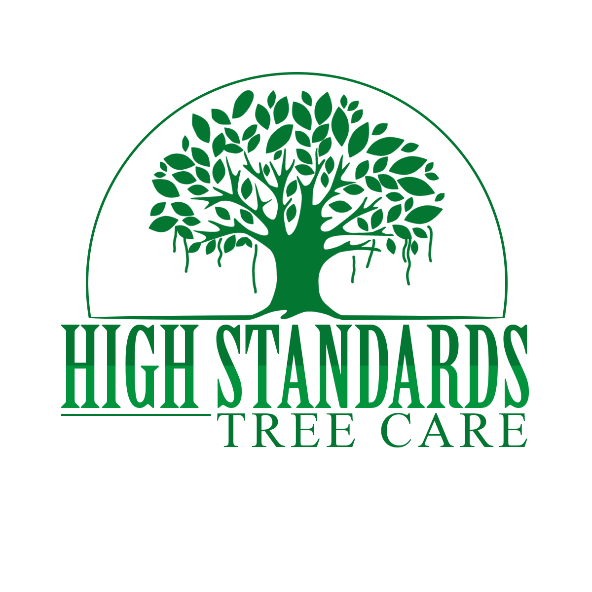 High Standards Tree Service Hollywood FL Tree Service high-standards-tree-service-hollywood-fl-tree-service
