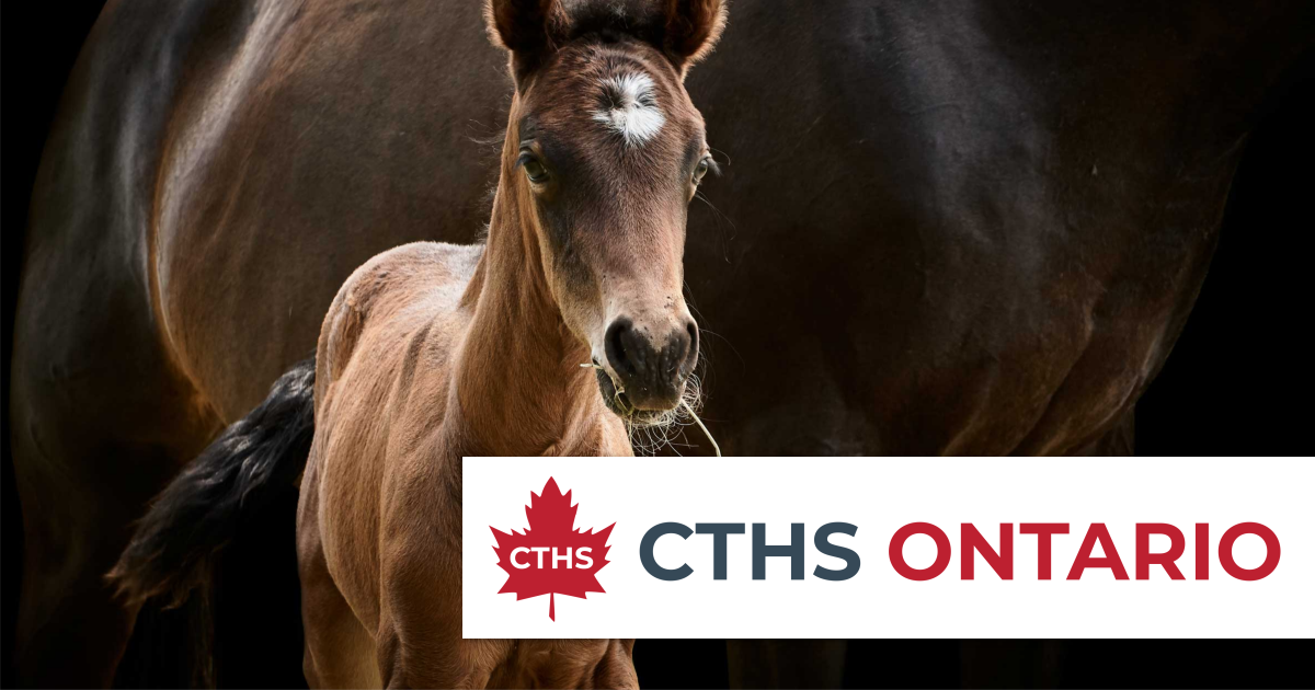 Contact Us | CTHS Ontario