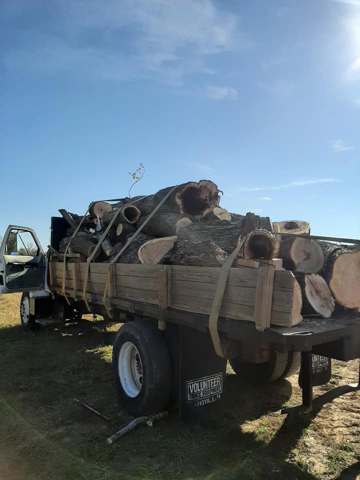 Travis Tree Services | Tree Removal and Trimming | Ledbetter, KY