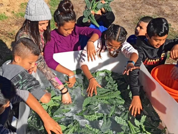 Kids Farmers for a Day