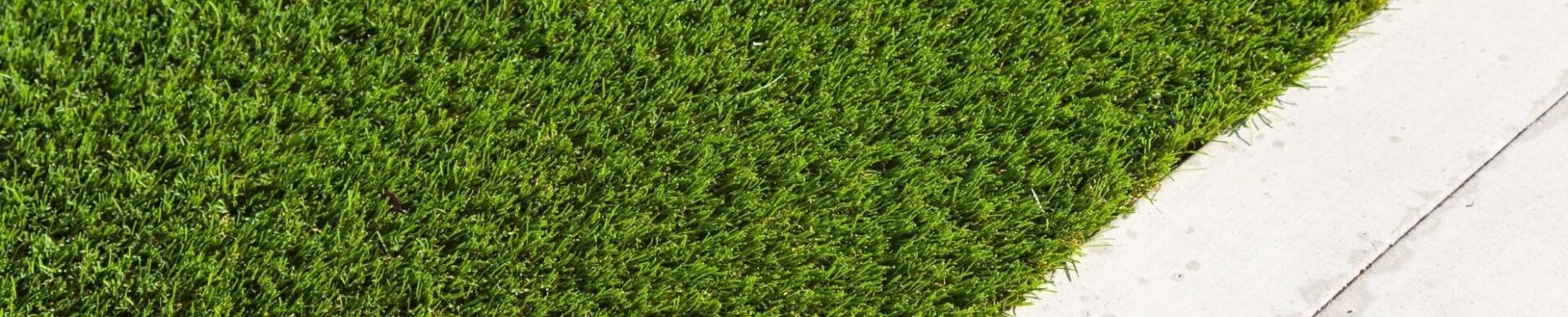 The Do's And Don’ts Of Managing Weeds In Your Artificial Turf