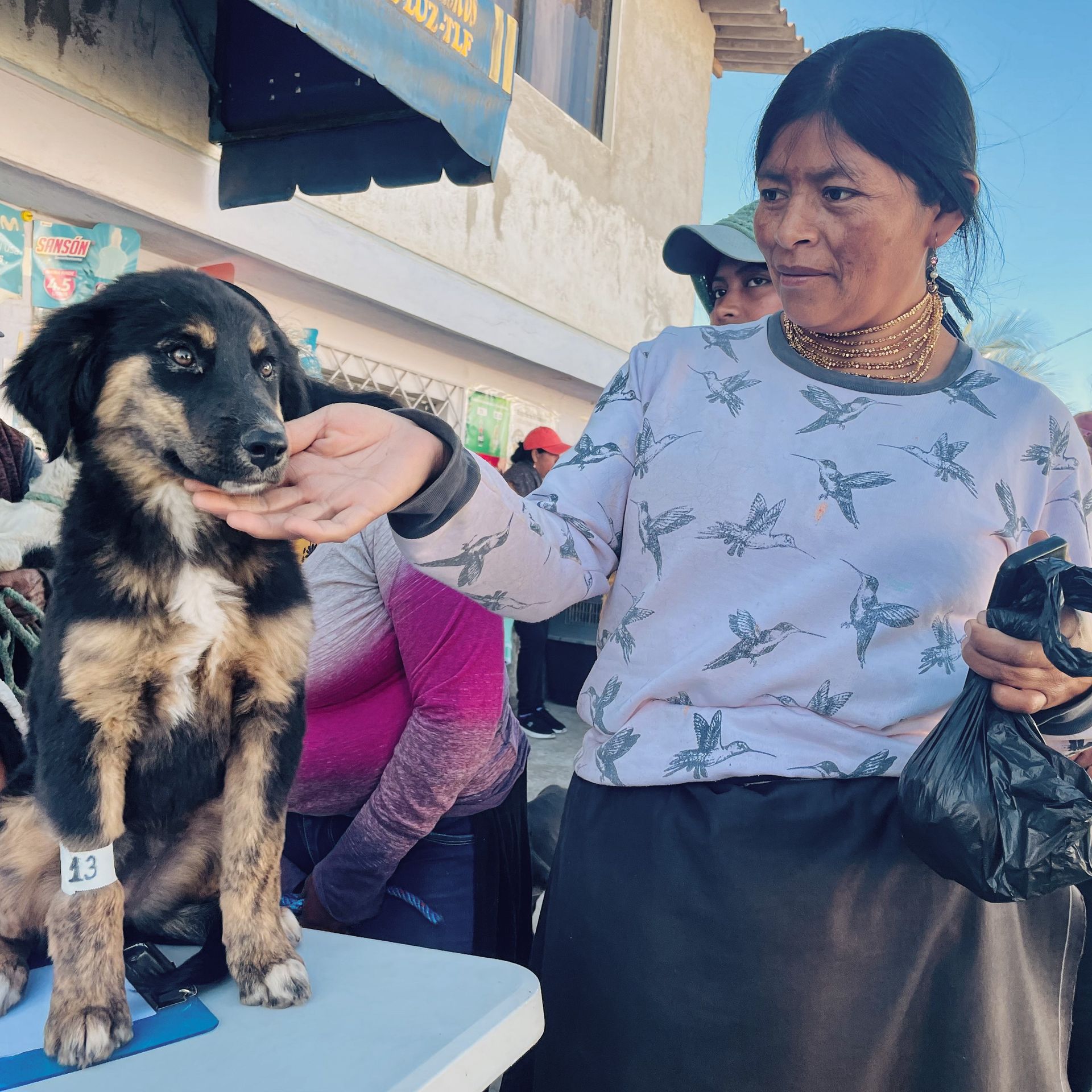 From a sack of corn, to a loving home. The story of Coqui.