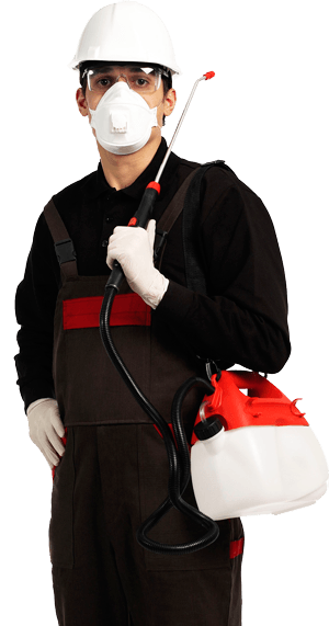 Pest Control | Merced, CA | Bob’s Community Pest Control