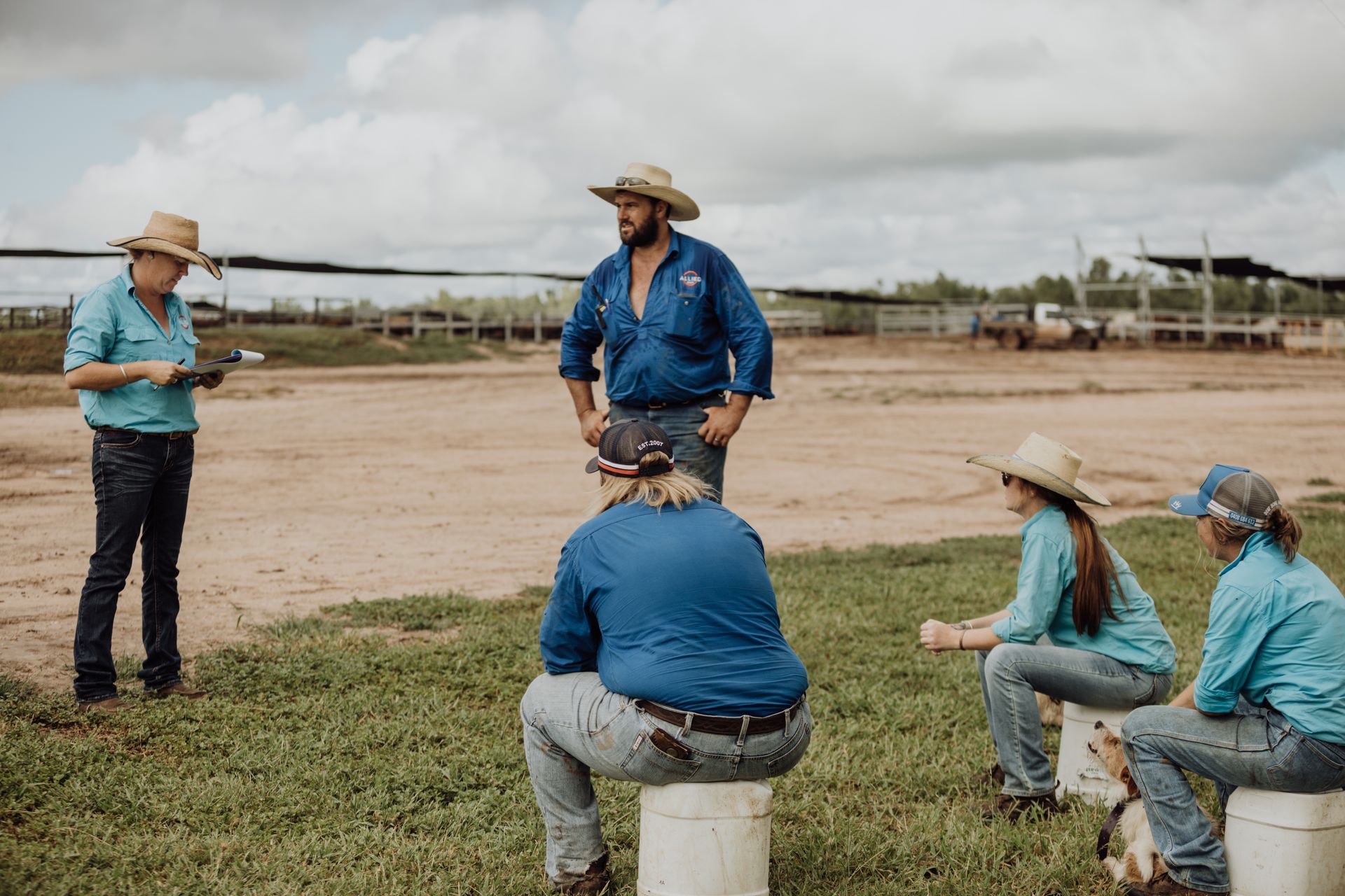 Allied Beef | Australia’s Premium Beef Cattle Partner