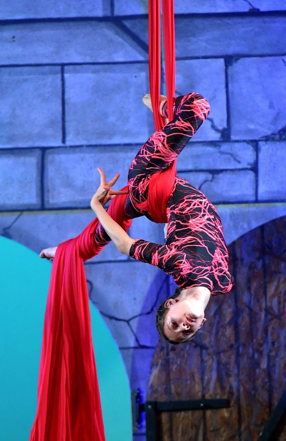 Tessuto e Cerchio Aereo | Verona | Studiodanza Laura Ratti