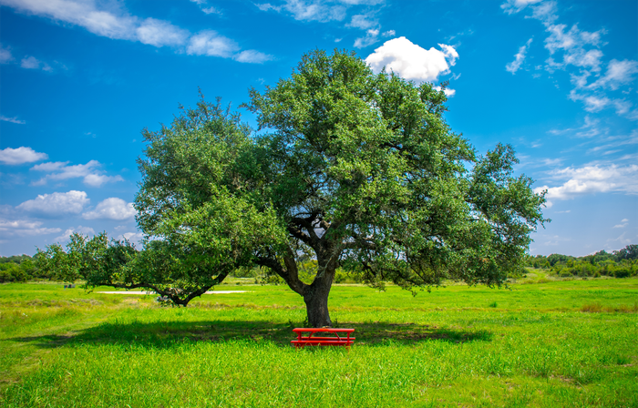 Clifton Funeral Home