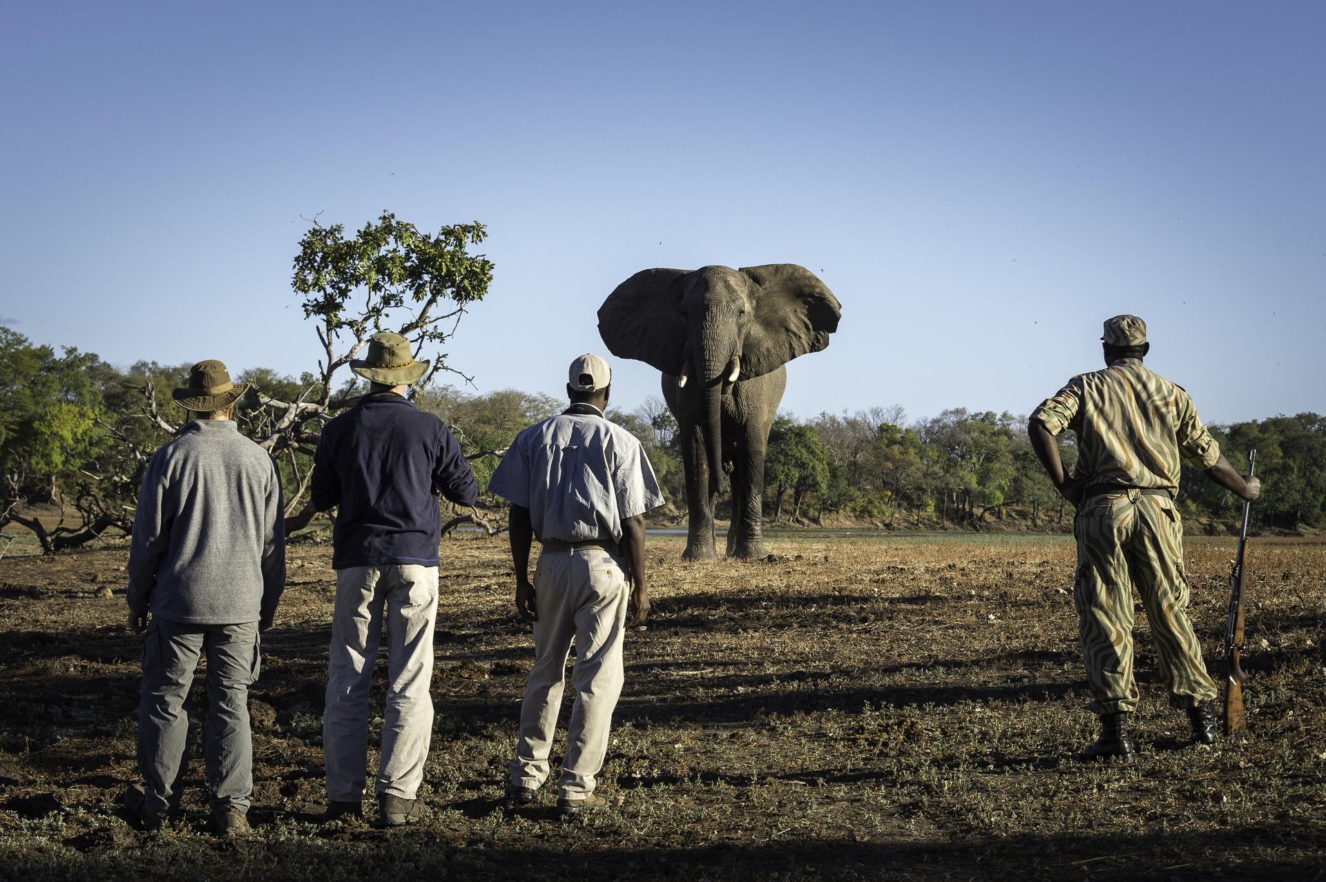 Unveiling the Majesty of the Serengeti: Our Top 10 Lodges