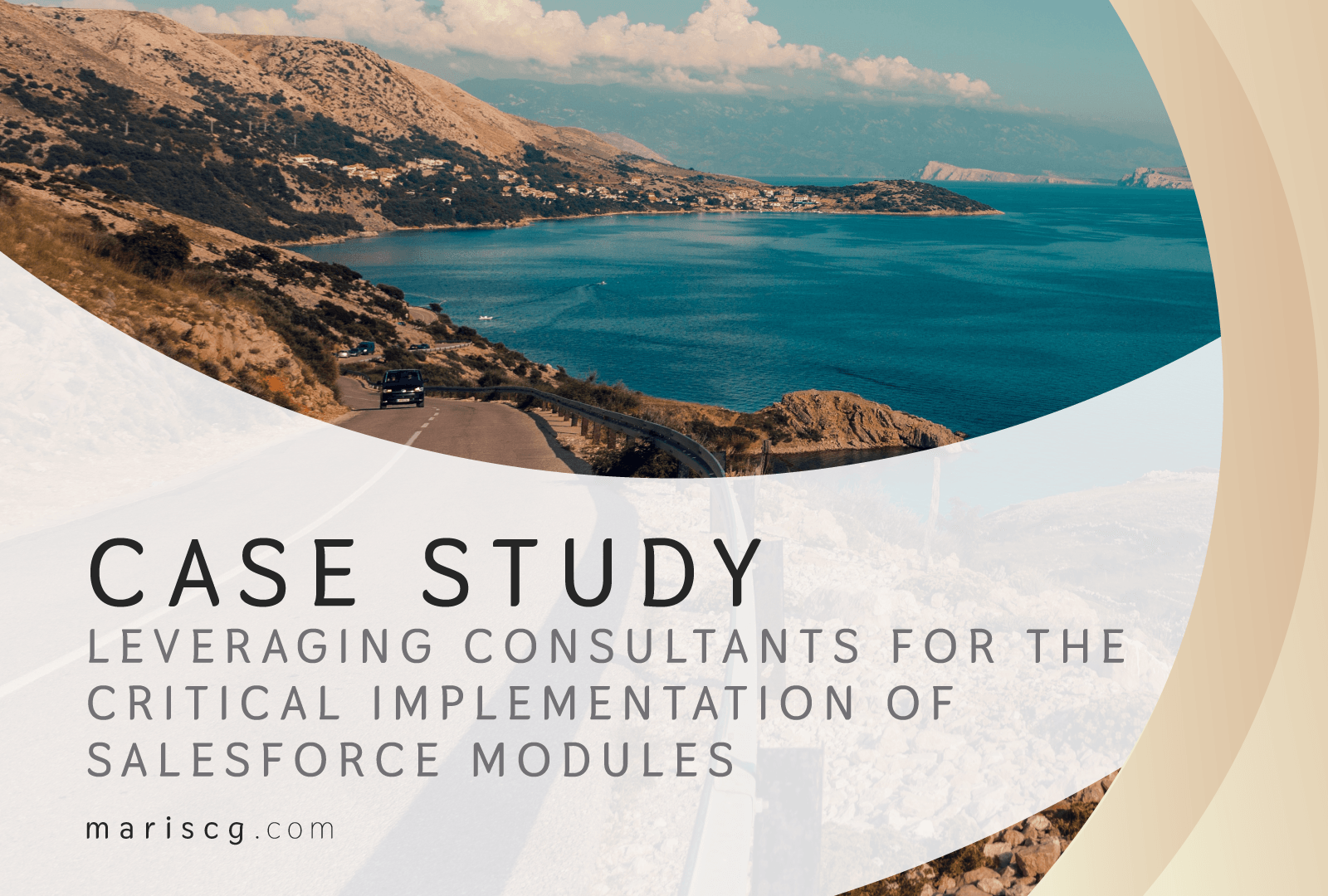 Case Study: Leveraging Consultants for the Critical Implementation of ...