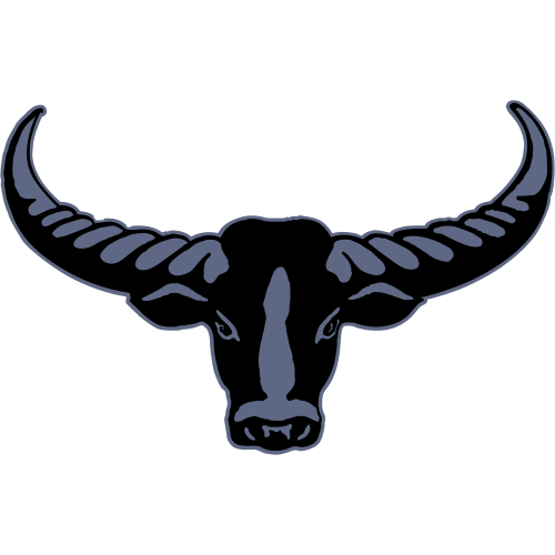 Daly River Buffaloes Football Club | Home