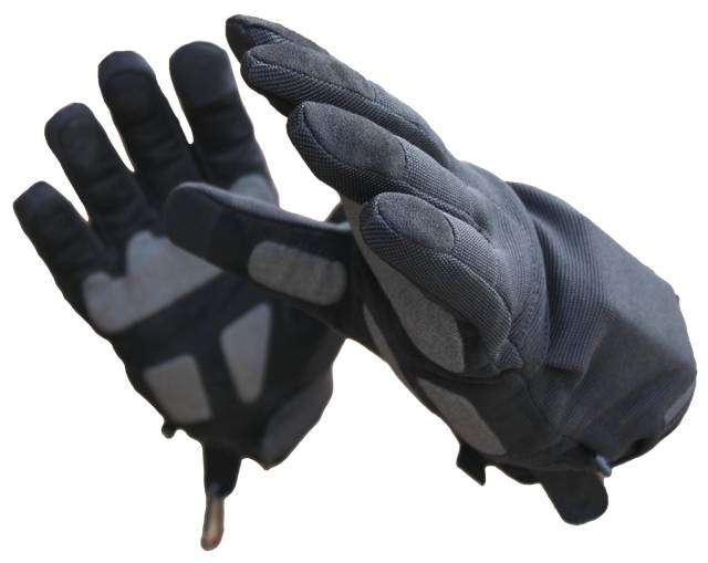 Who is the glove store