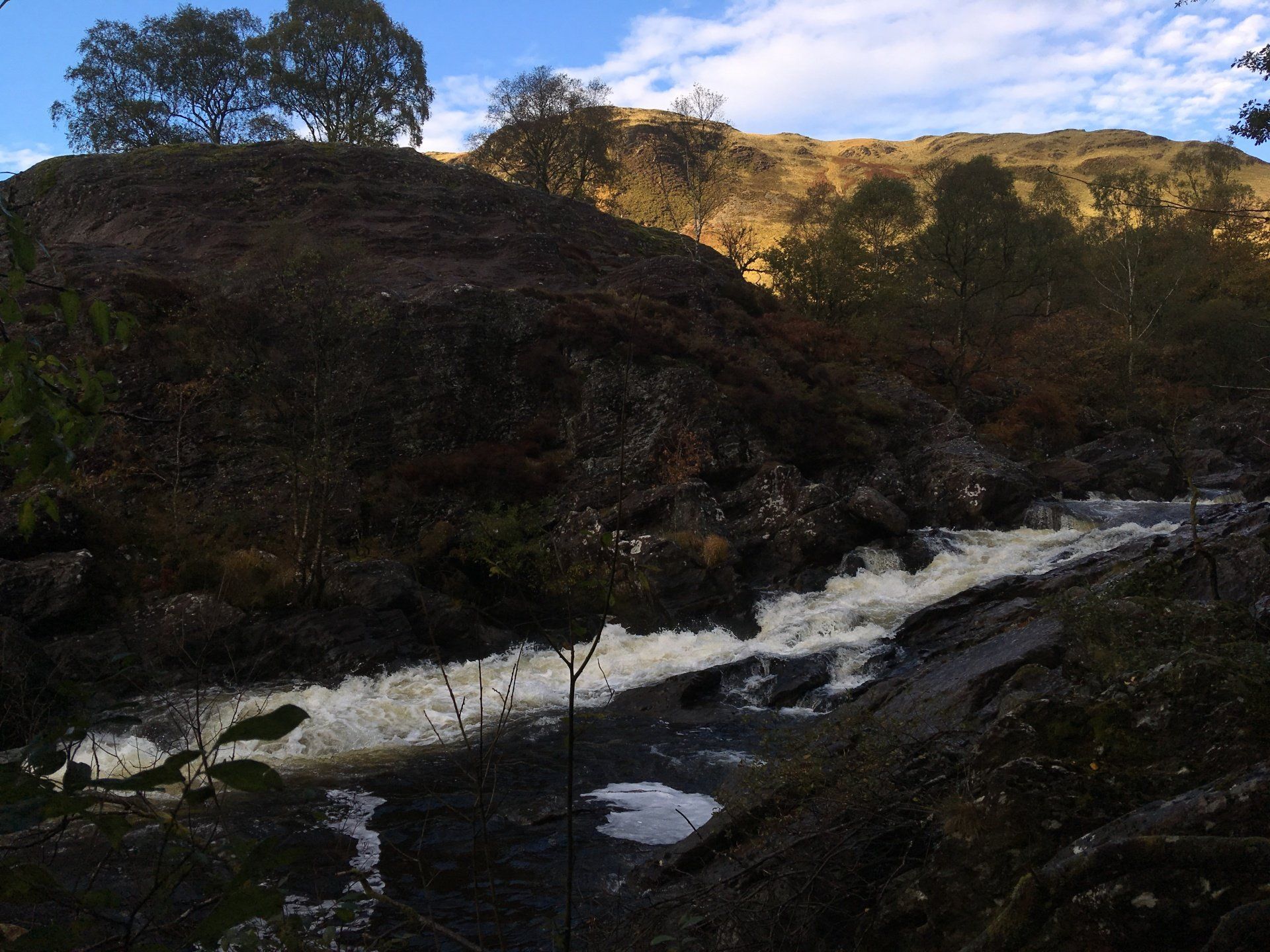 Best 5 Woods and Water Walks Upper Towy Valley Carmarthenshire