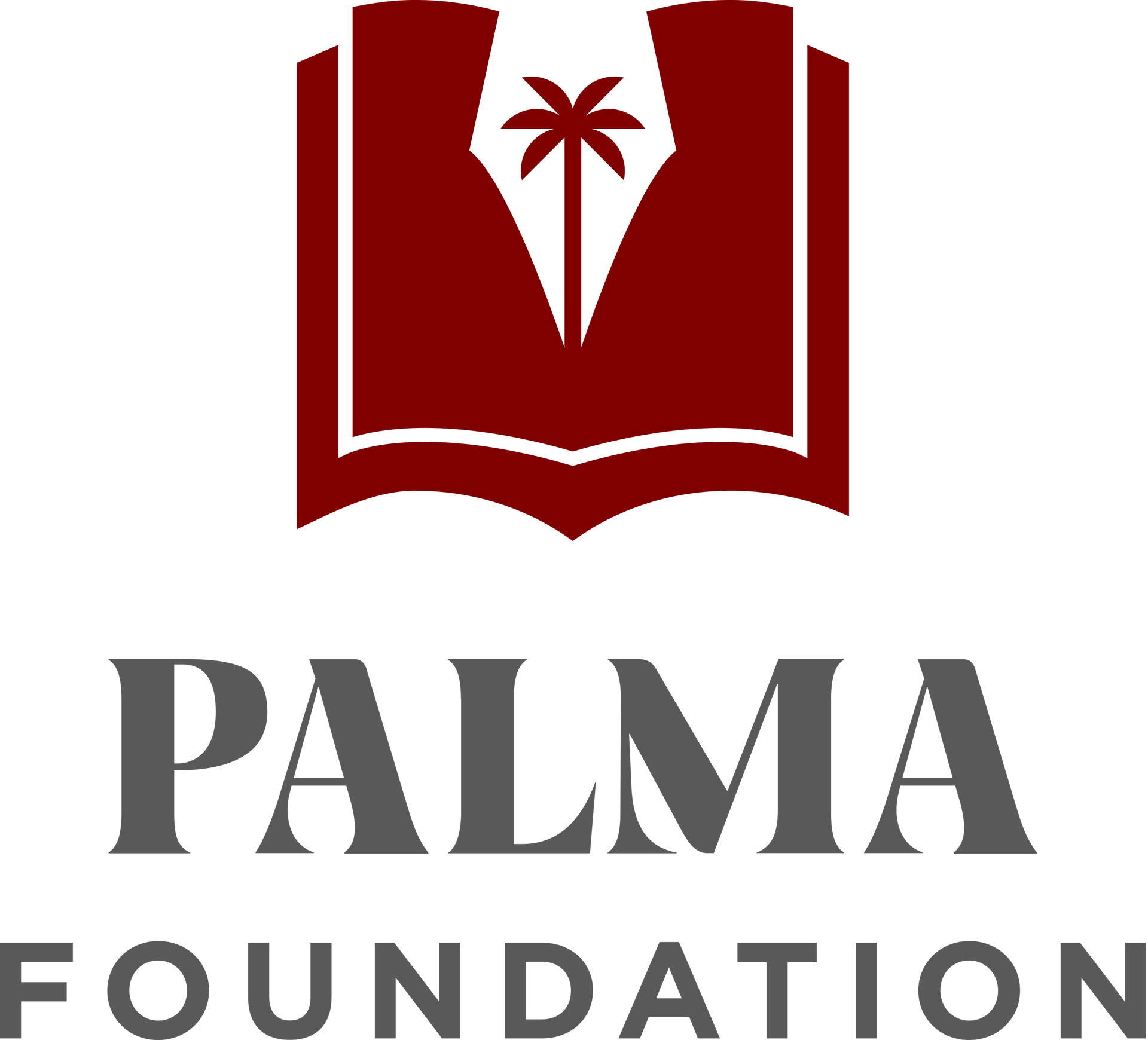 Home [www.palmaschoolfoundation.org]