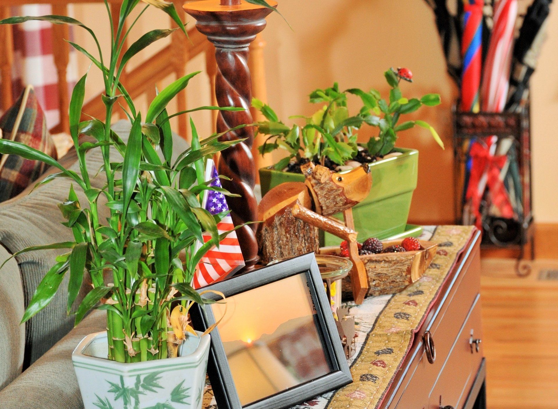 Gallery | Berry Springs Lodge