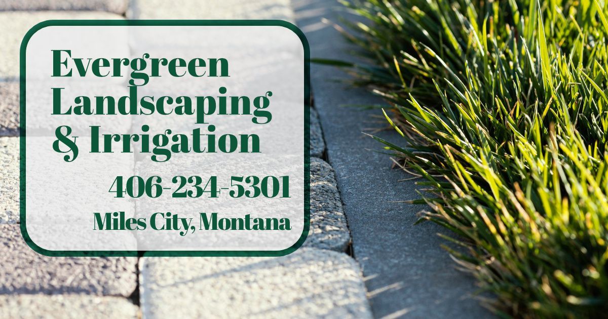 Contact Us | Let Us Answer Your Questions & Help