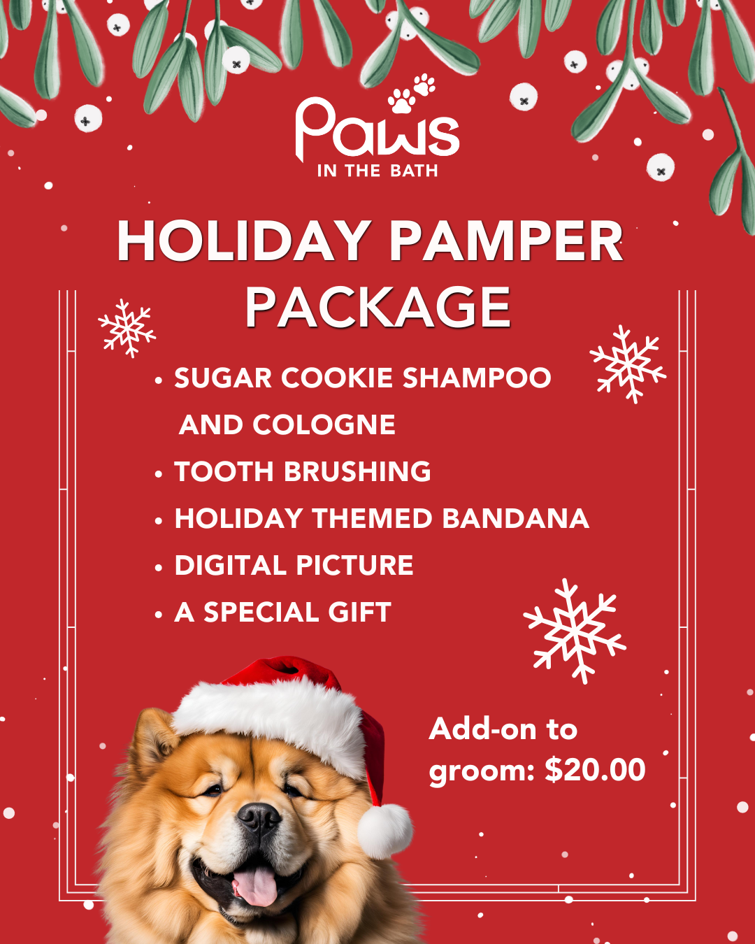 Premier Dog Grooming Services Across the GTA | Paws in the Bath