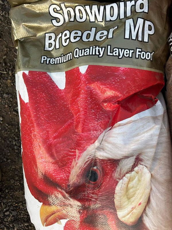 Chicken Food