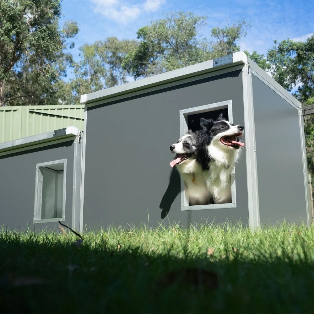 Dog Kennels
