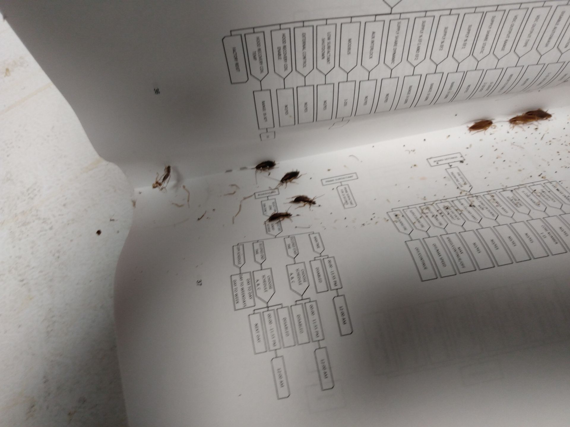 H L Cooper Pest Control Richmond VA | Local