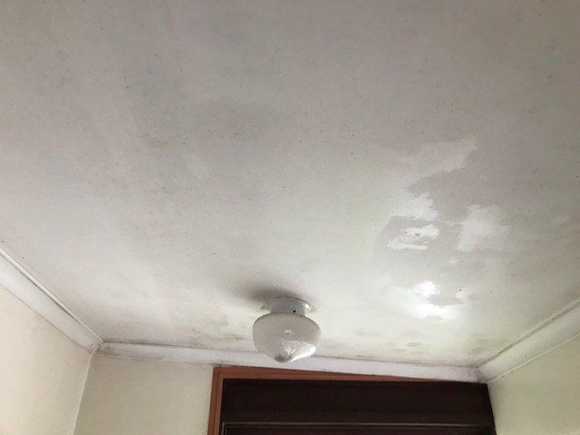 Sunshine Coast Mould Removal | Essential Shield