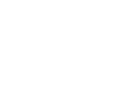 Disciple Masonry | Repair and Restoration