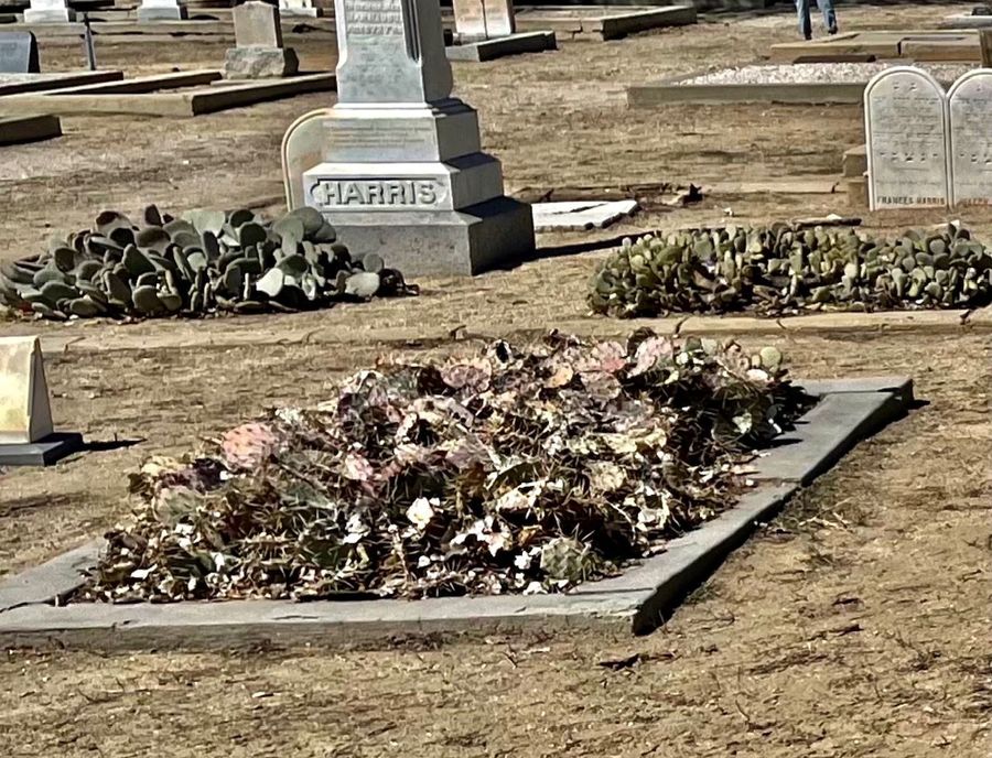 Home [www.renoemanuel.org]