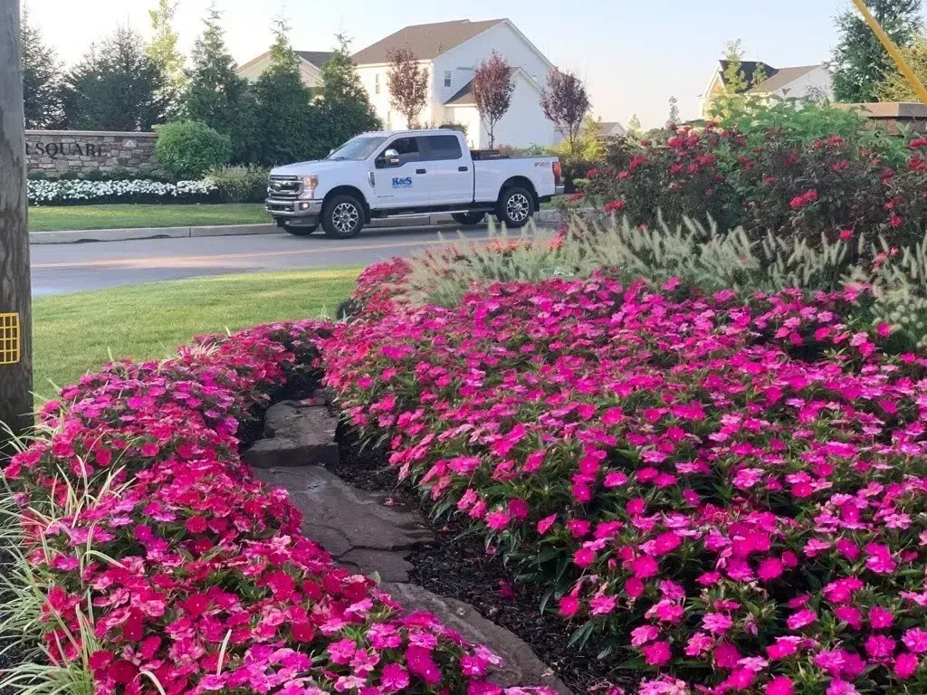 Landscape Design in Wayne, PA: Transform Your Outdoor Space