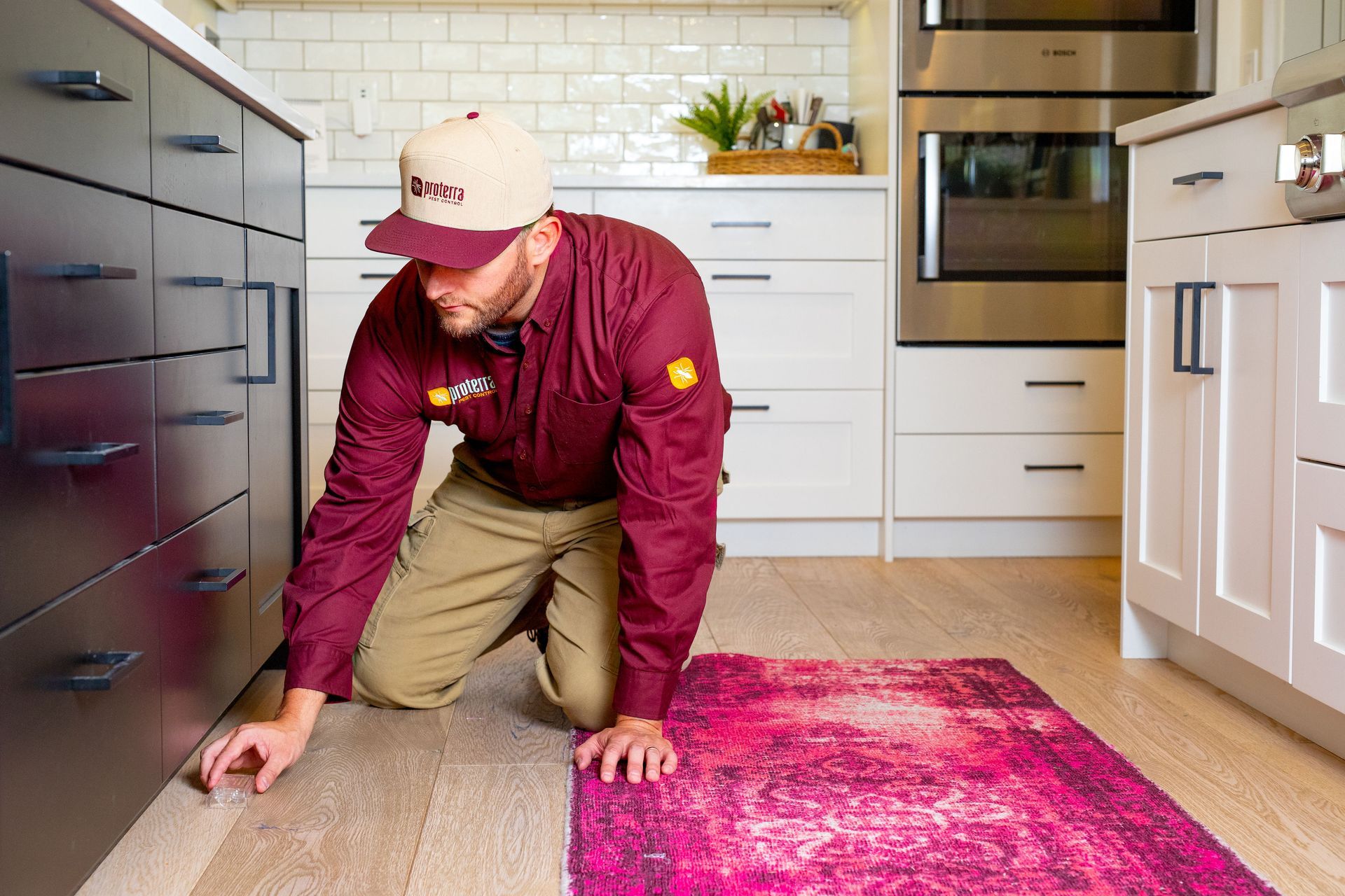 Eco-Friendly Moth Pest Control Tips | Proterra Pest Control