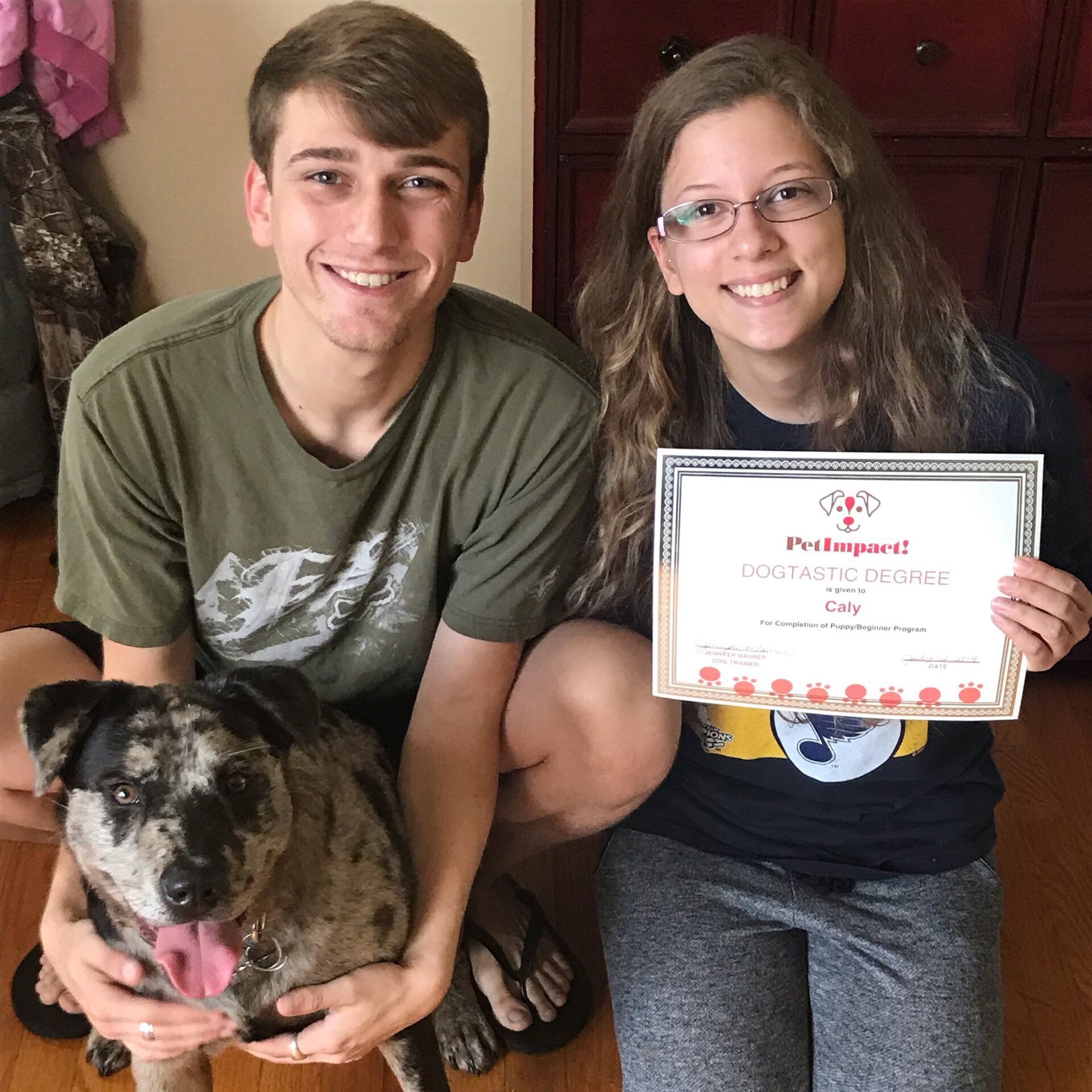 Online & In-Person Dog Training Services | St. Louis, MO | PetImpact!