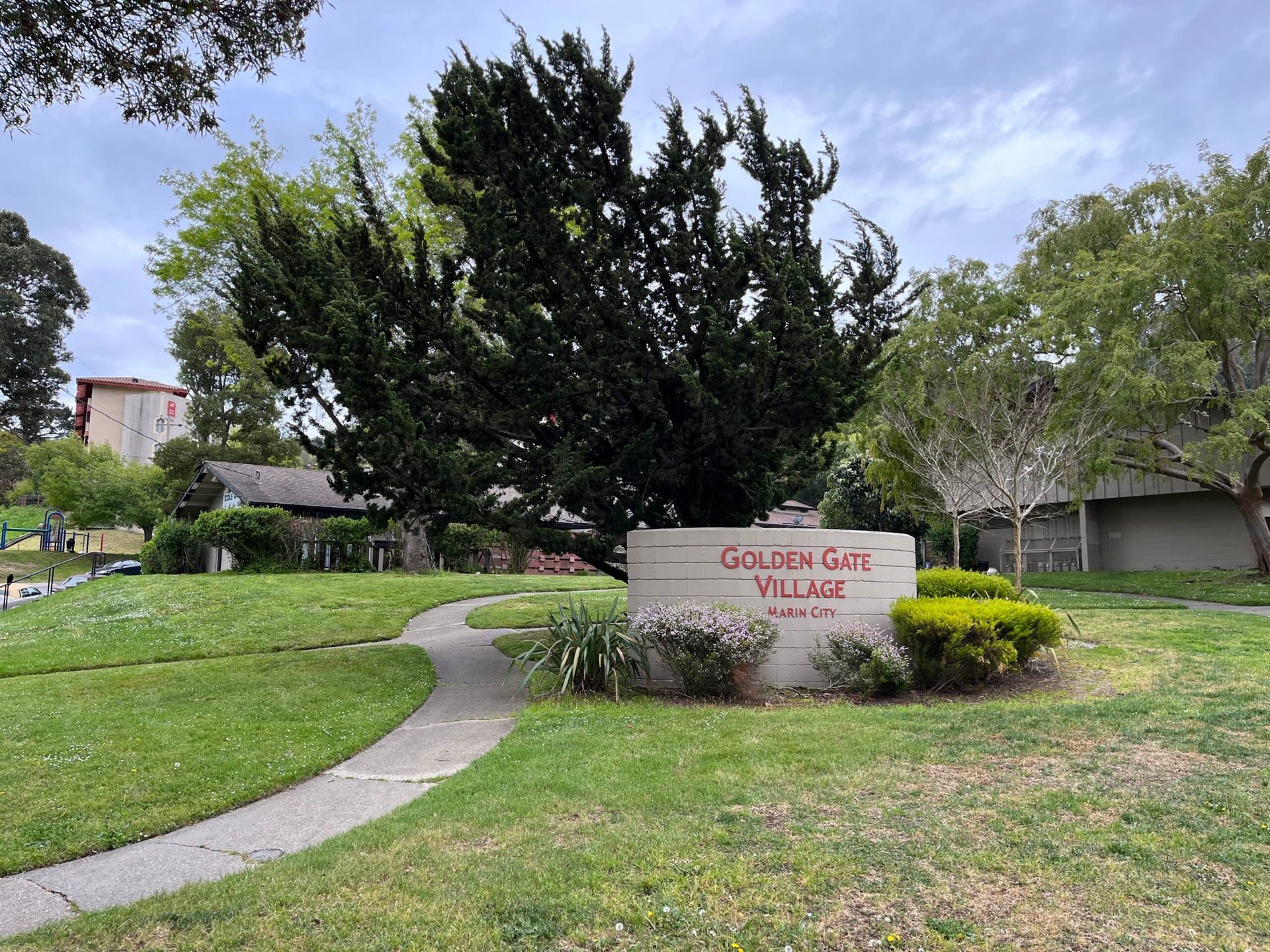 AMP2 January 2026 Newsletter