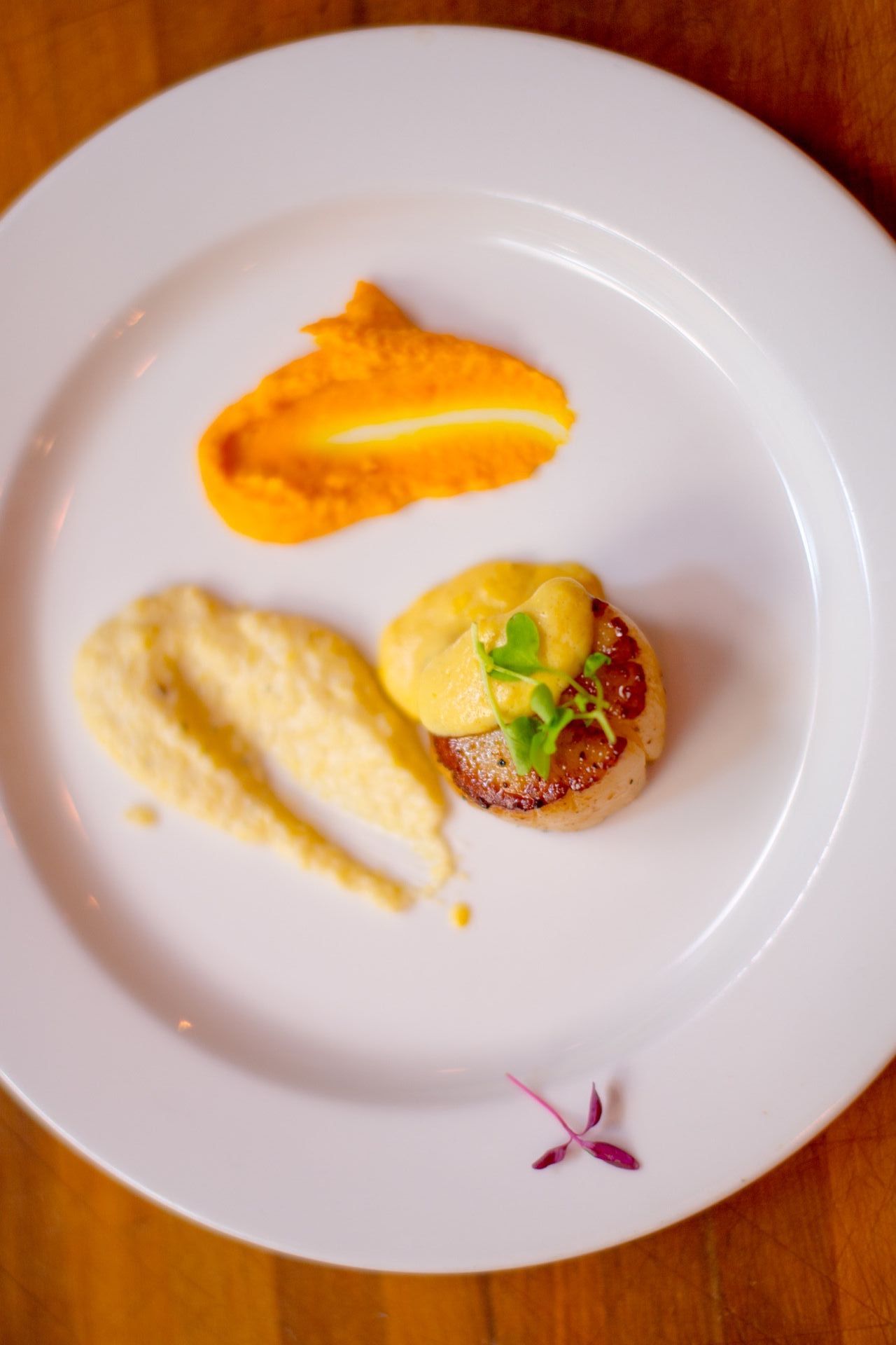 Home [www.sgrizzilv.com]