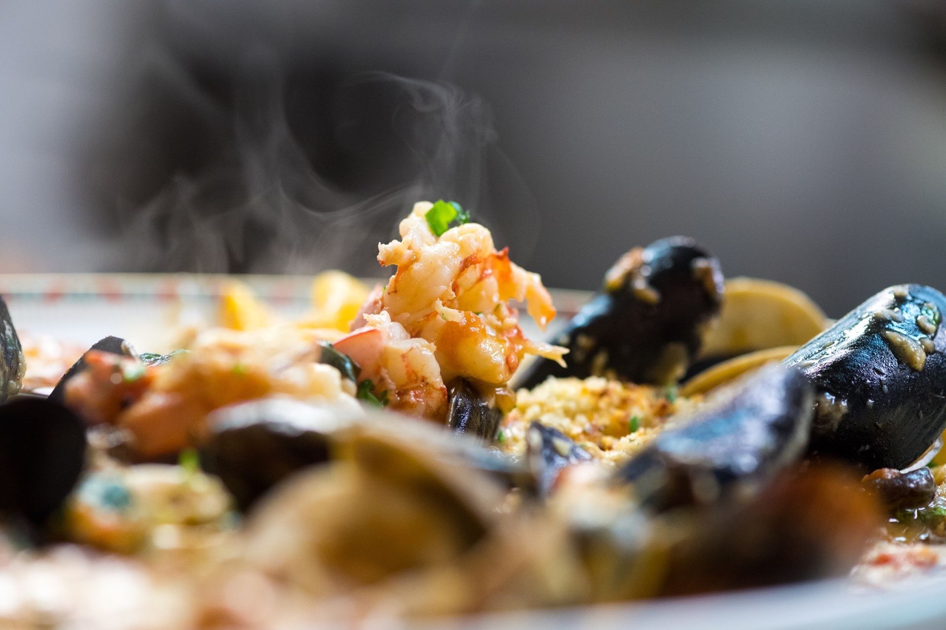 Home [www.sgrizzilv.com]