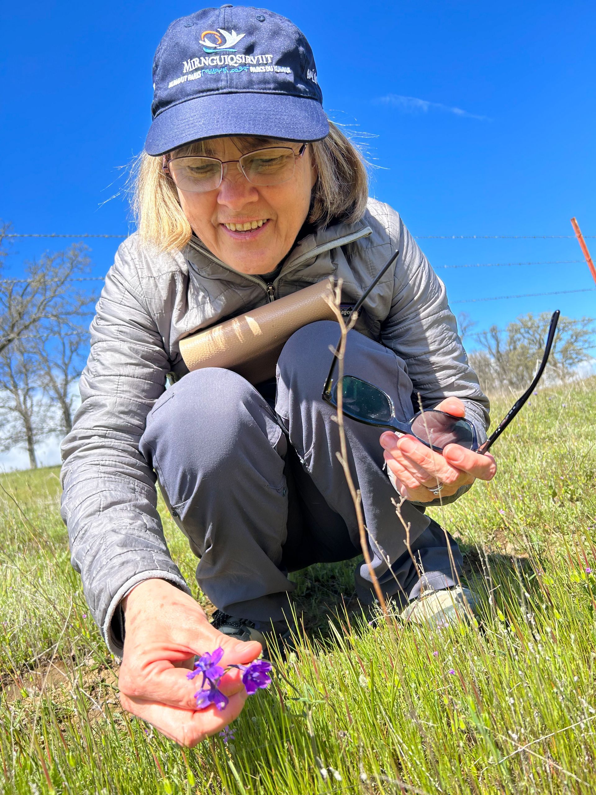 Bear Valley and Molok Luyuk Wildflower Tours