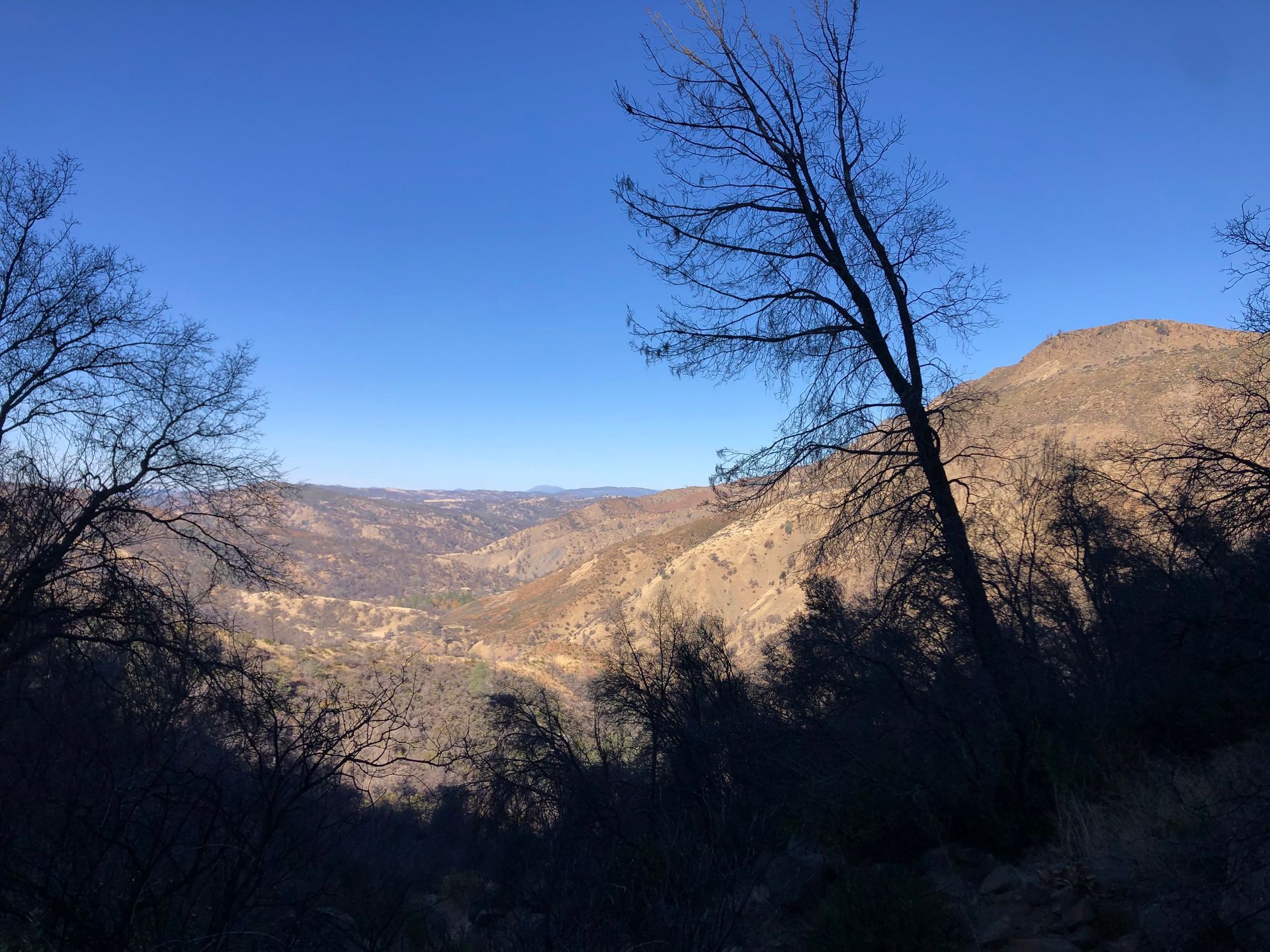 Featured Trail: Blue Ridge Trail North