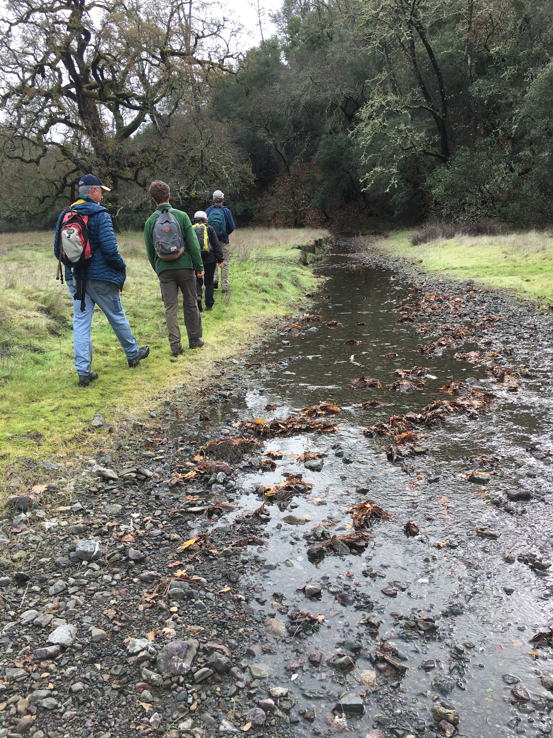 Monumental Questions - Happy National Wilderness Month!